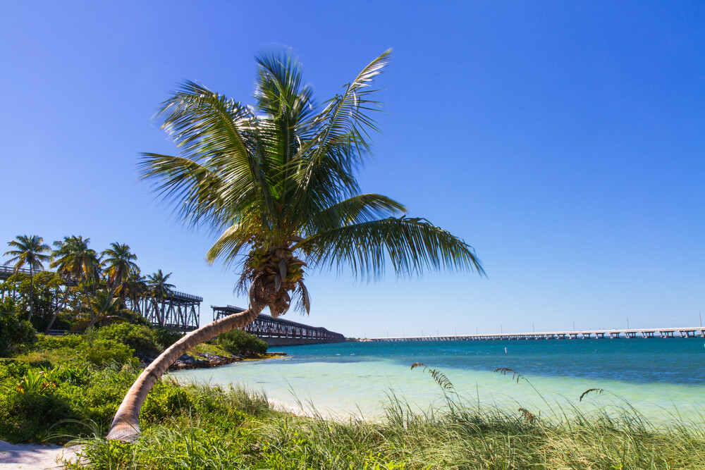 Faro Blanco Resort | Florida Keys Marina Resort